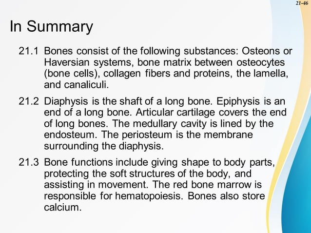Skeletal System - Human Anatomy (Bone structure) | PDF