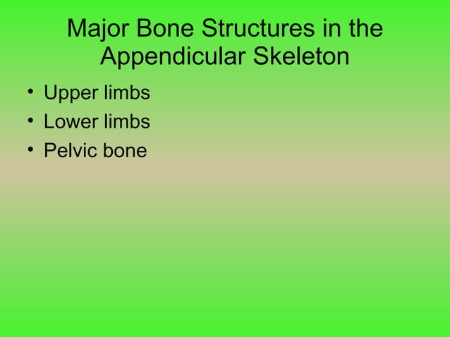 S Keletal System | PPT