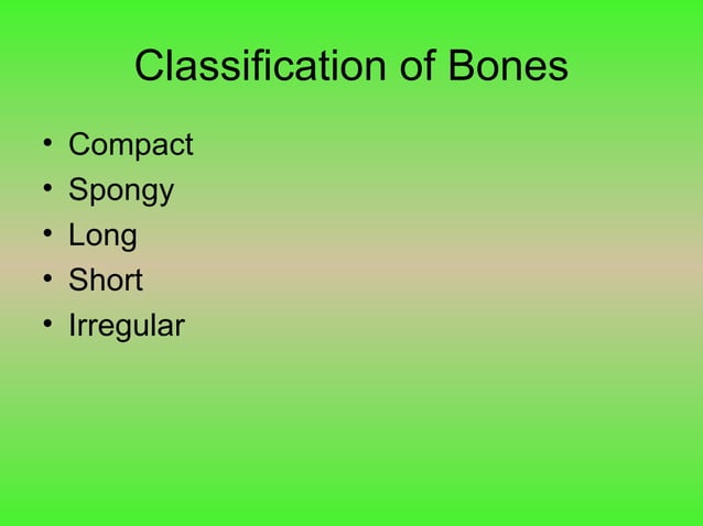 S Keletal System | PPT
