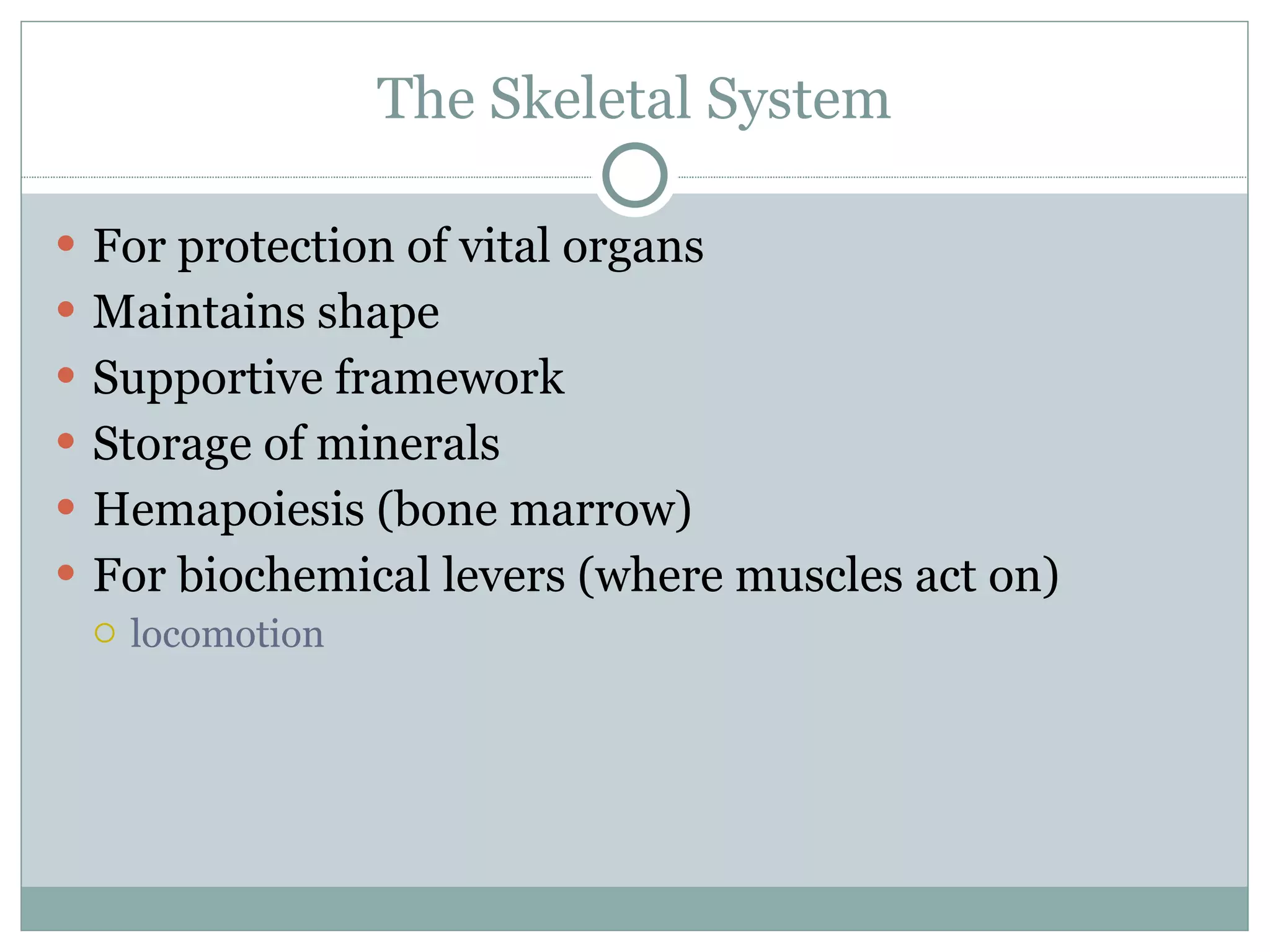 Skeletal System | PPT | Bone and Joint Conditions | Diseases and Conditions