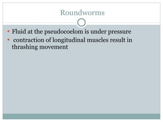 Skeletal System | PPT