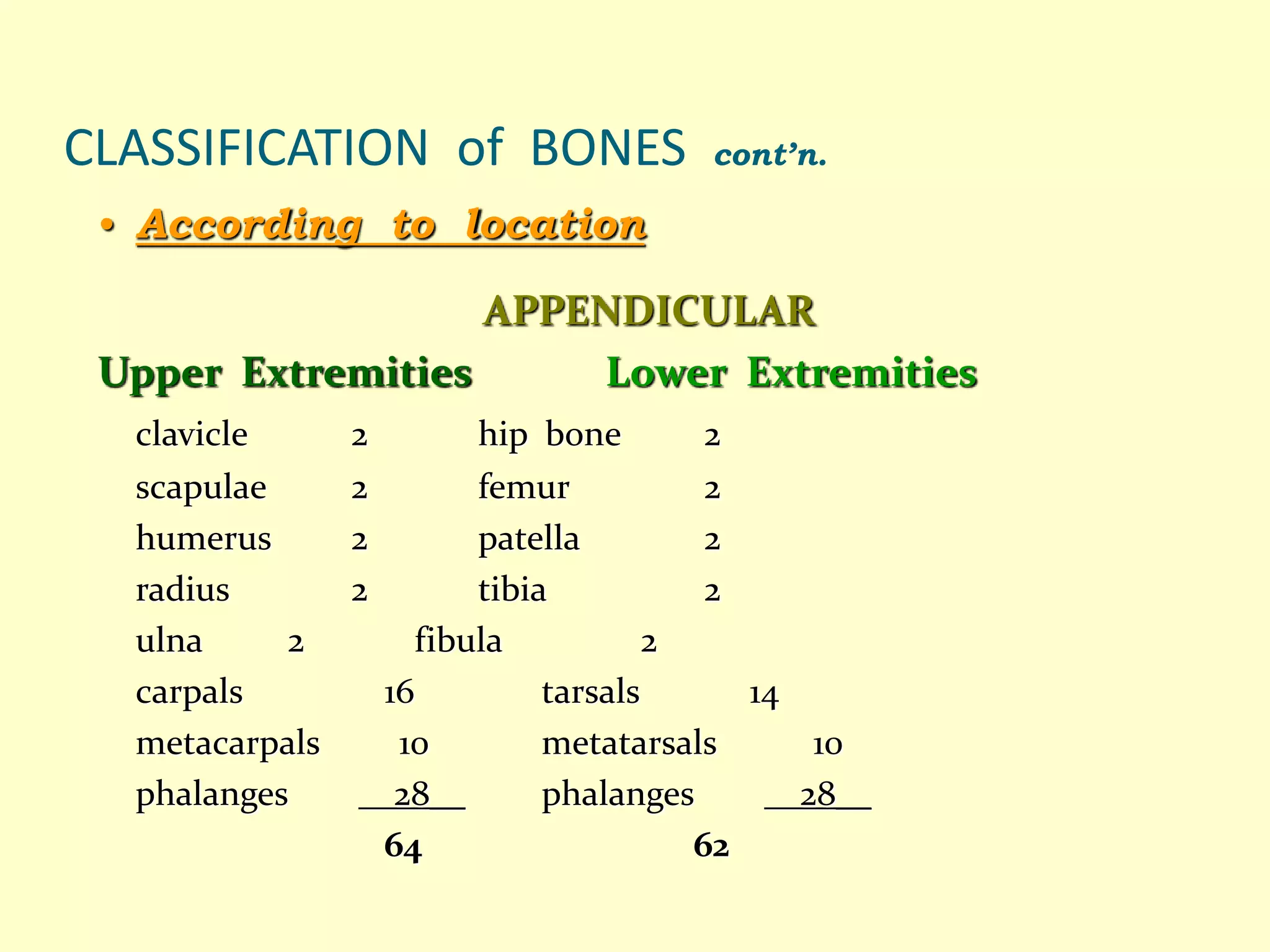 SKELETAL SYSTEM-1.ppt