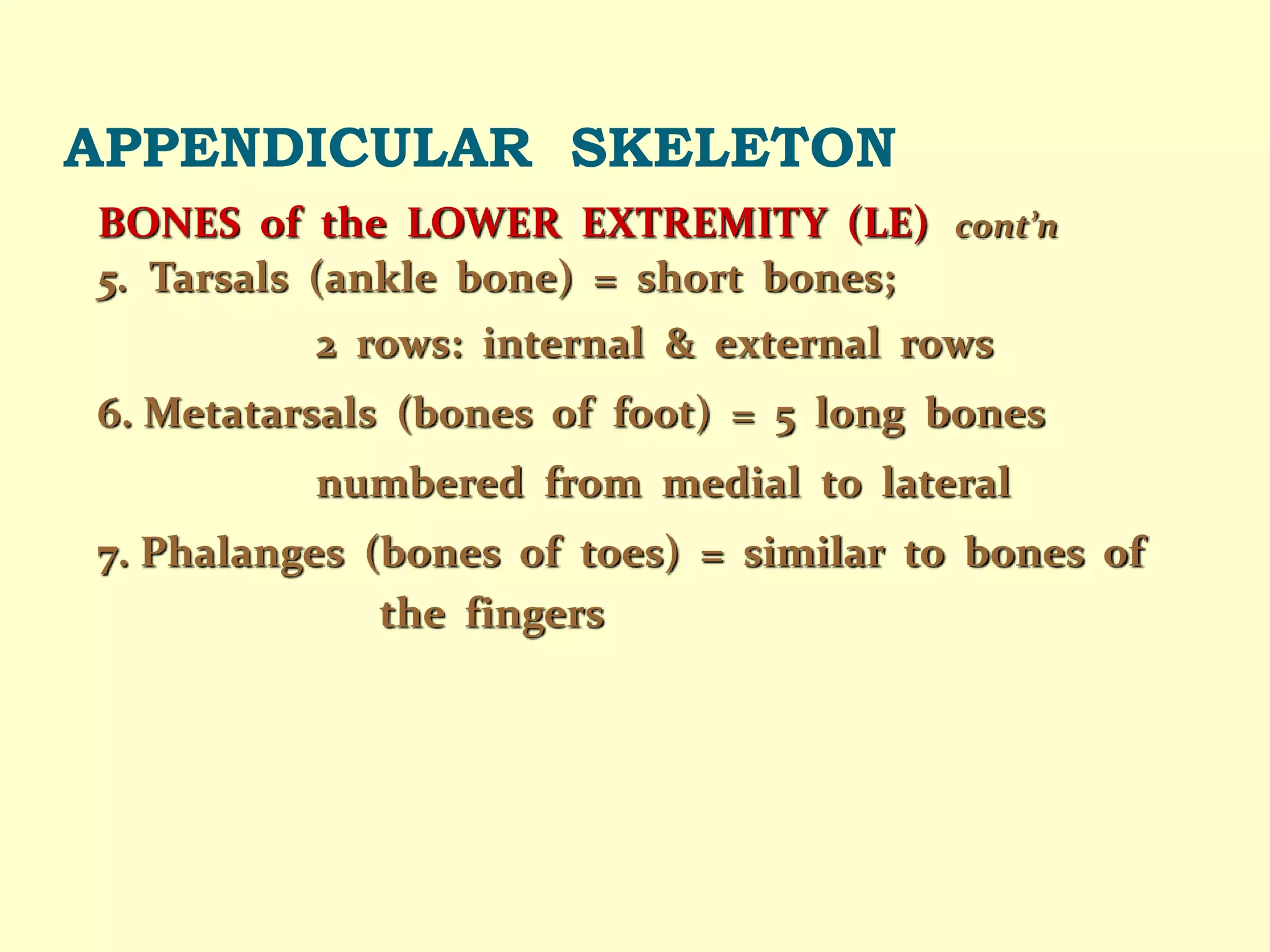 SKELETAL SYSTEM-1.ppt