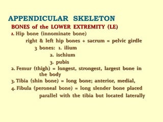 SKELETAL SYSTEM-1.ppt
