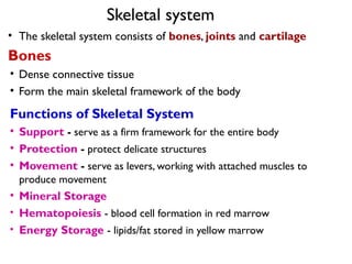 Skeletal System, types of joints -1.pptx