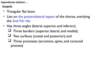 Skeletal System, types of joints -1.pptx