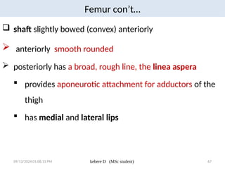 Skeletal System, types of joints -1.pptx