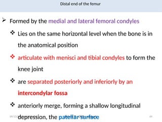 Skeletal System, types of joints -1.pptx