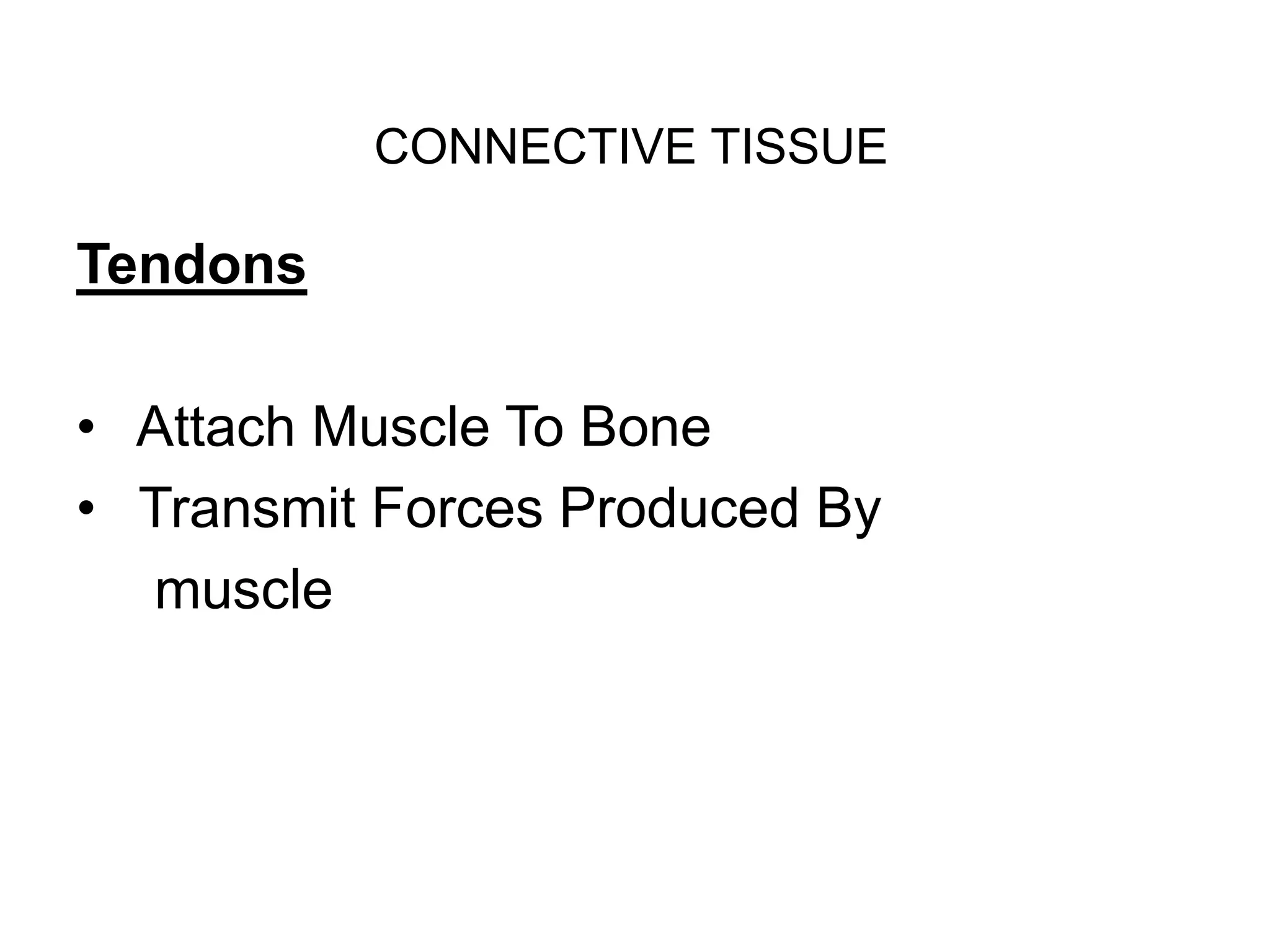 Bones and Joints | PPTX