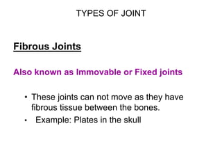 Bones and Joints | PPTX