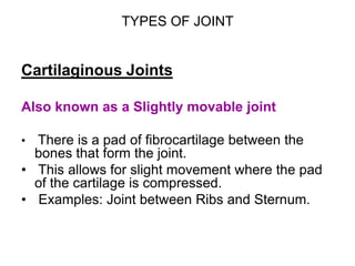 Bones and Joints | PPTX