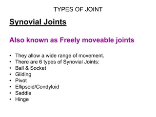 Bones and Joints | PPTX