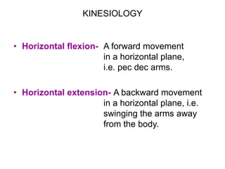 Bones and Joints | PPTX