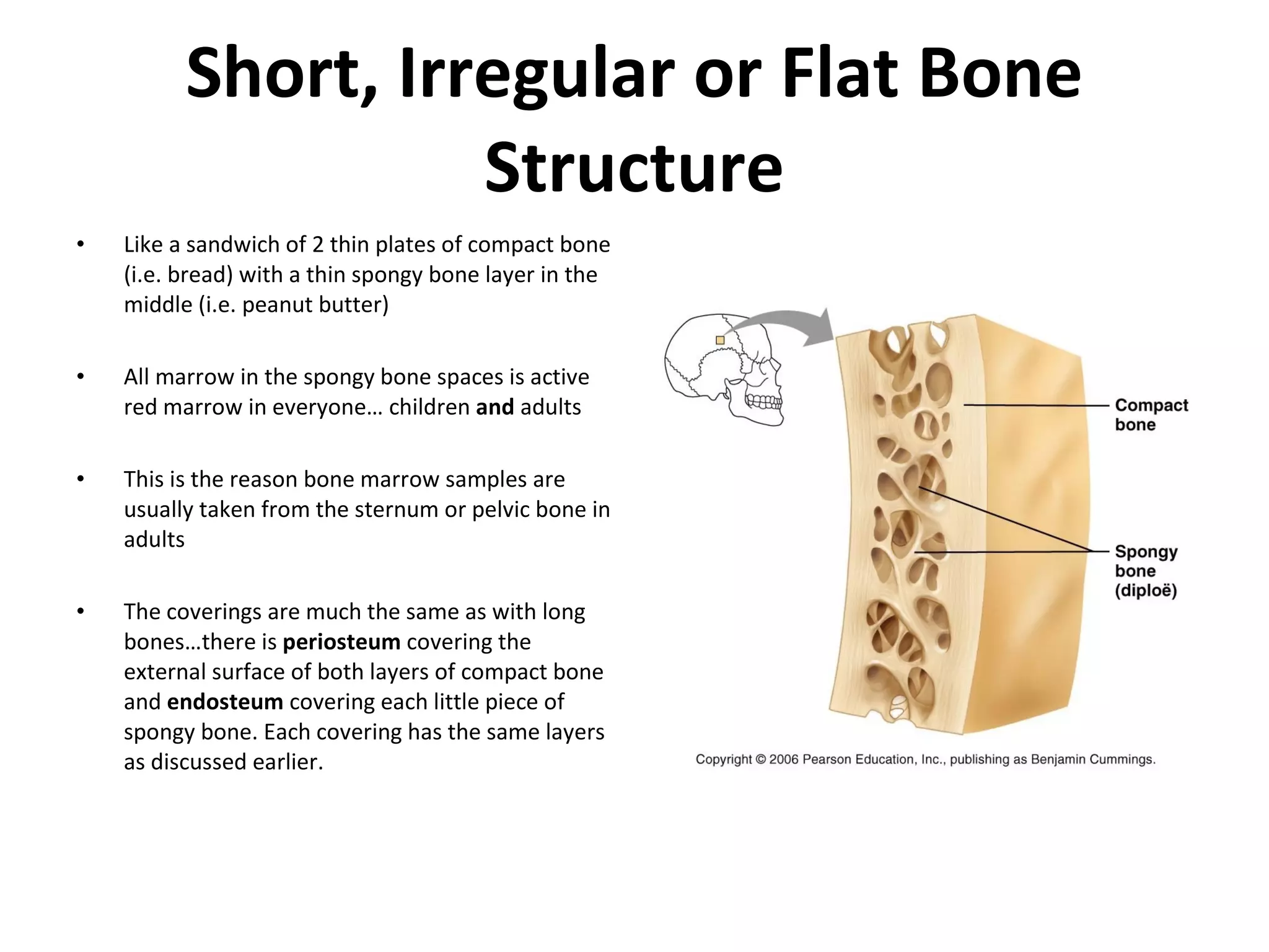 Skeletal system | PPT