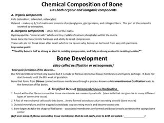Skeletal system | PPT