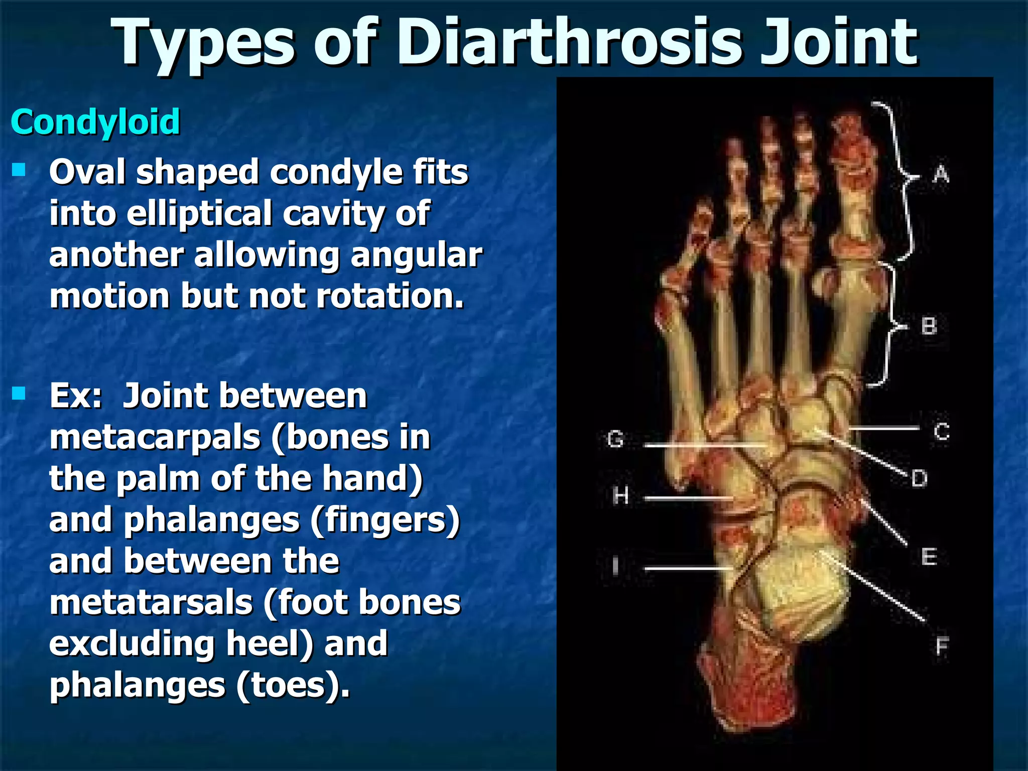 SKELETAL SYSTEM | PPT