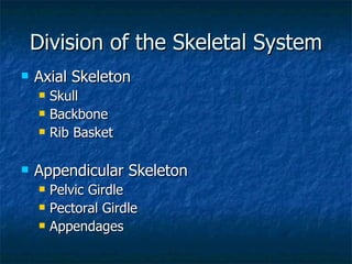 SKELETAL SYSTEM | PPT