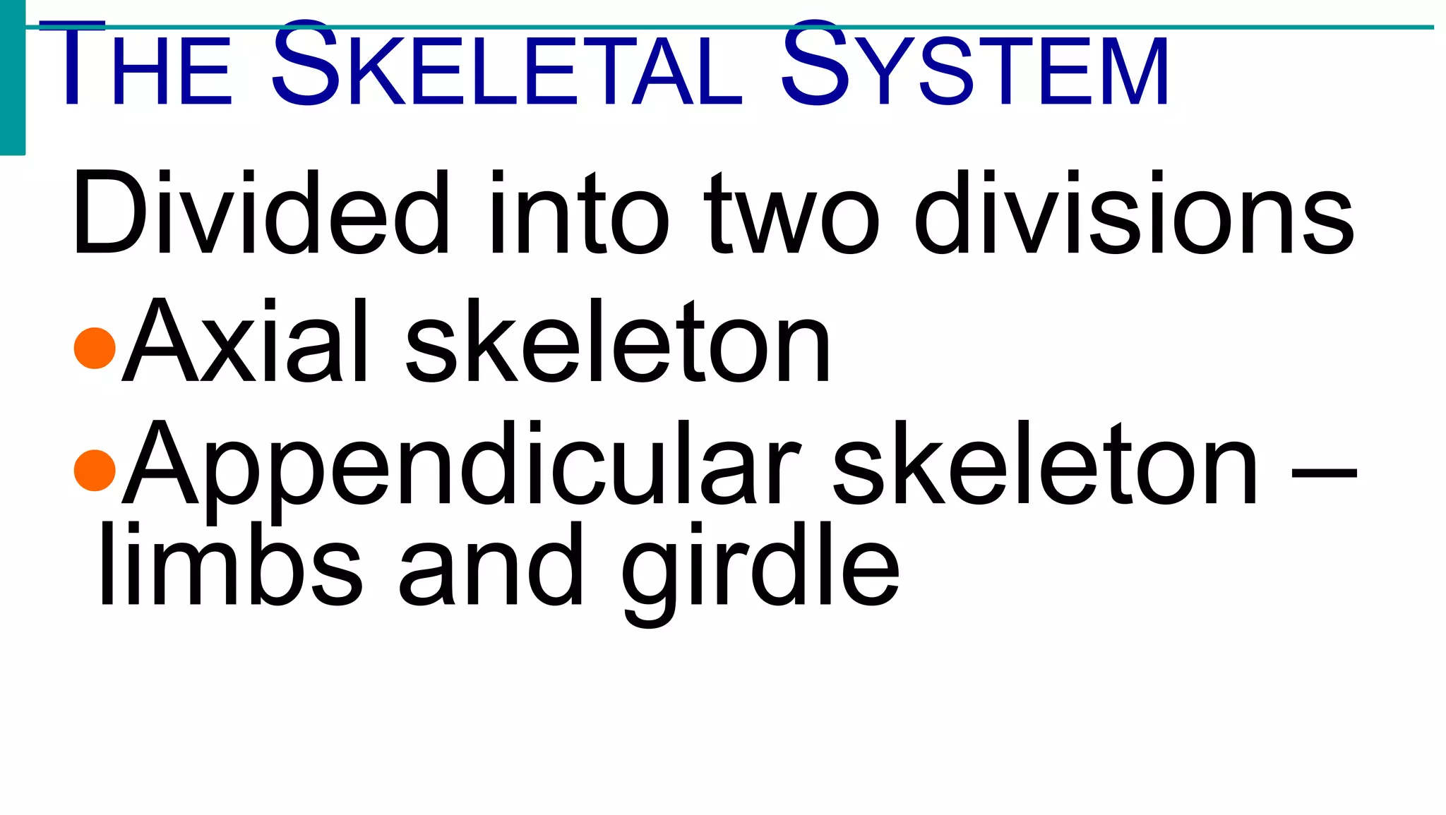 Skeletalsystem 111027103336-phpapp01 | PPT