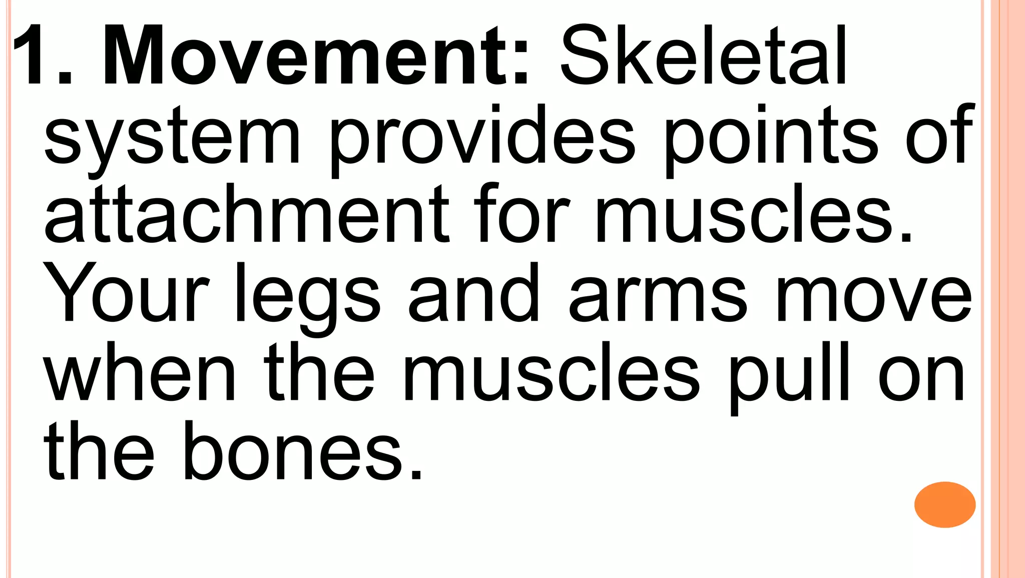 Skeletalsystem 111027103336-phpapp01 | PPT