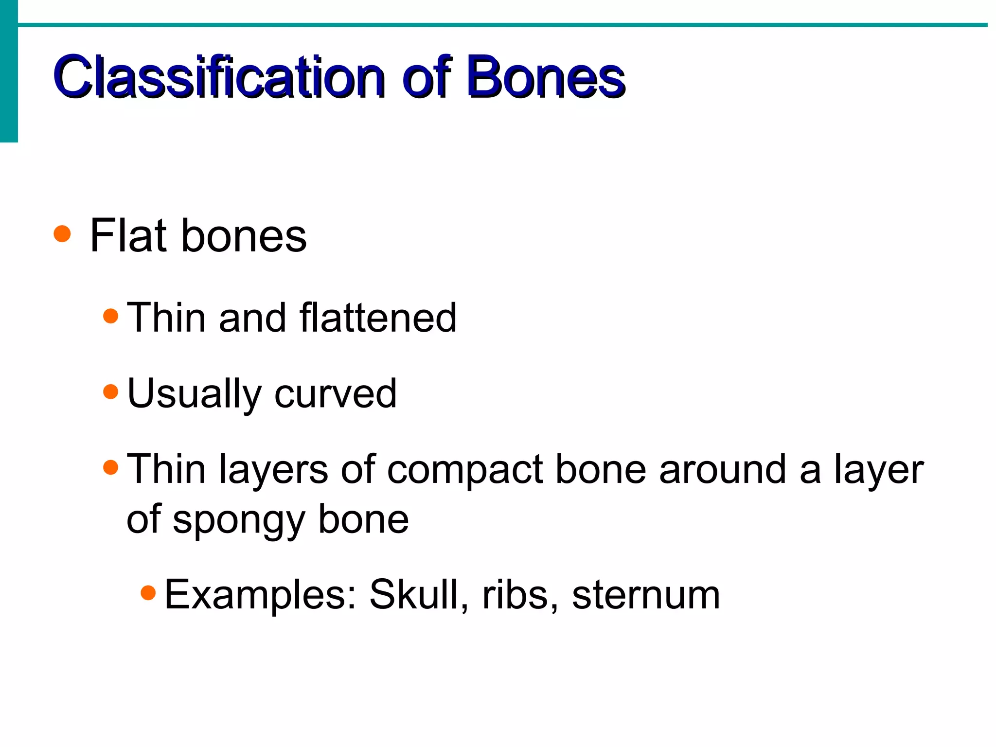 Skeletal system | PPS