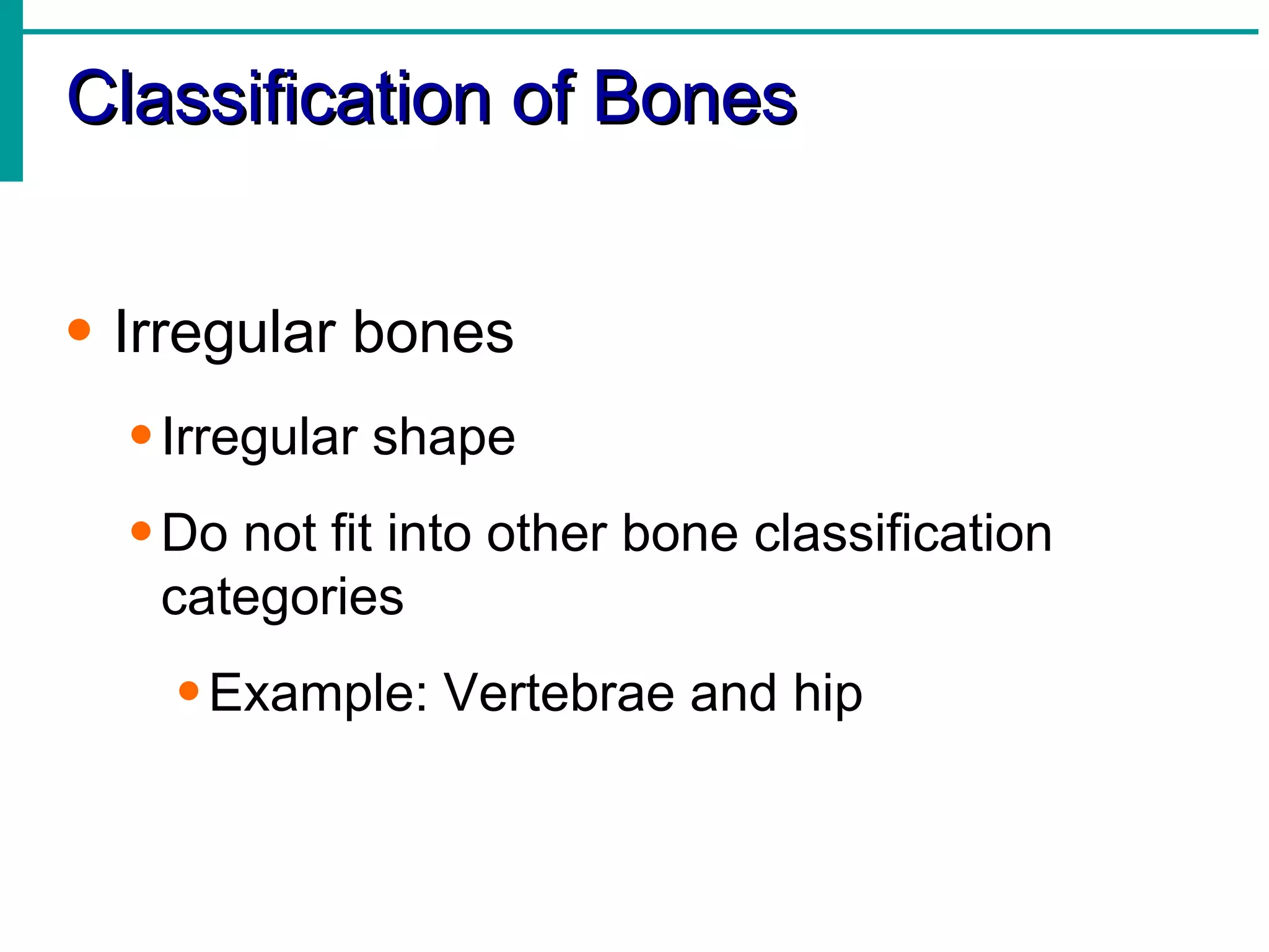 Skeletal system | PPS