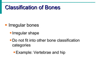 Skeletal system | PPS