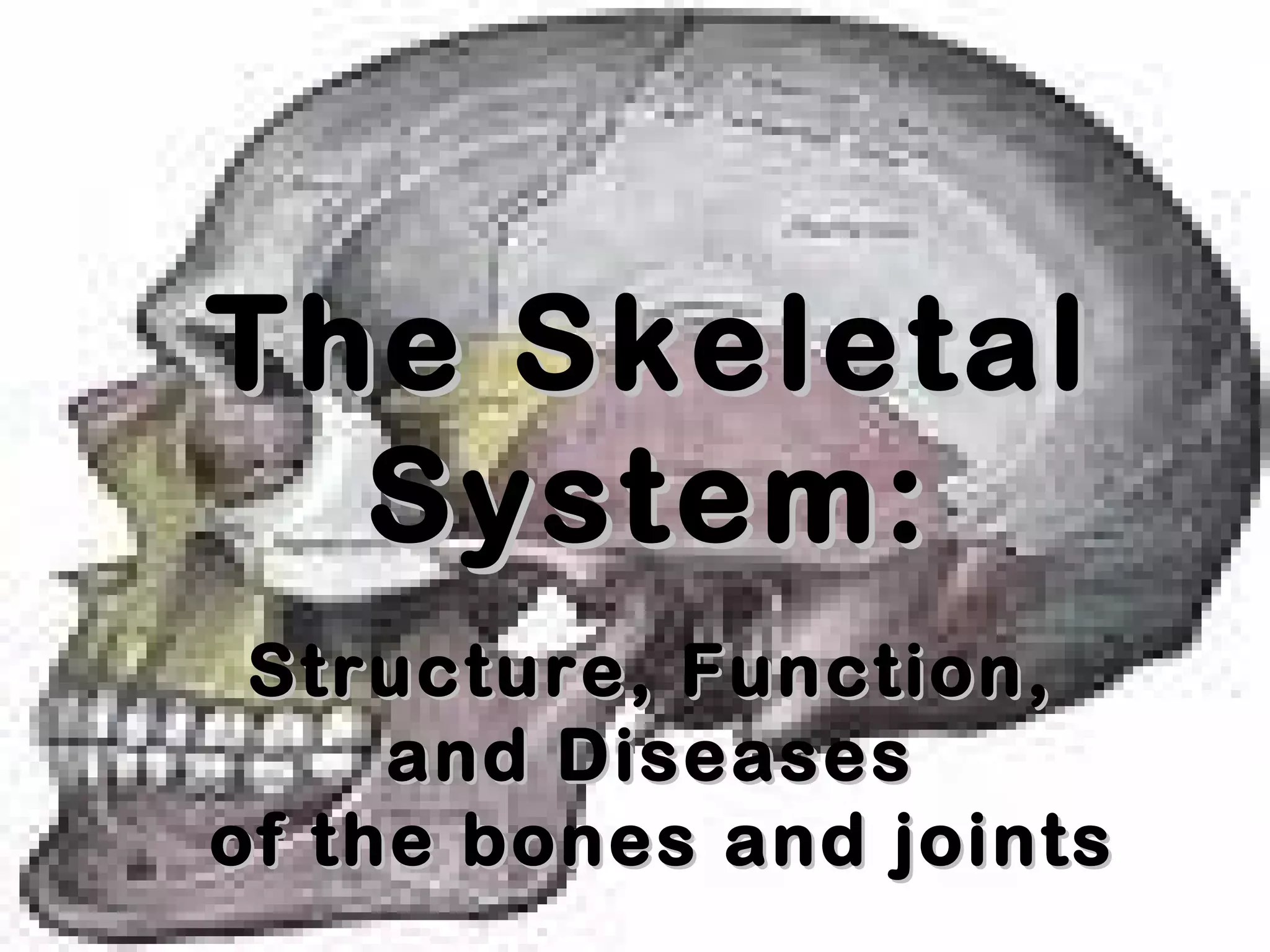 Skeletal System Notes | PPT