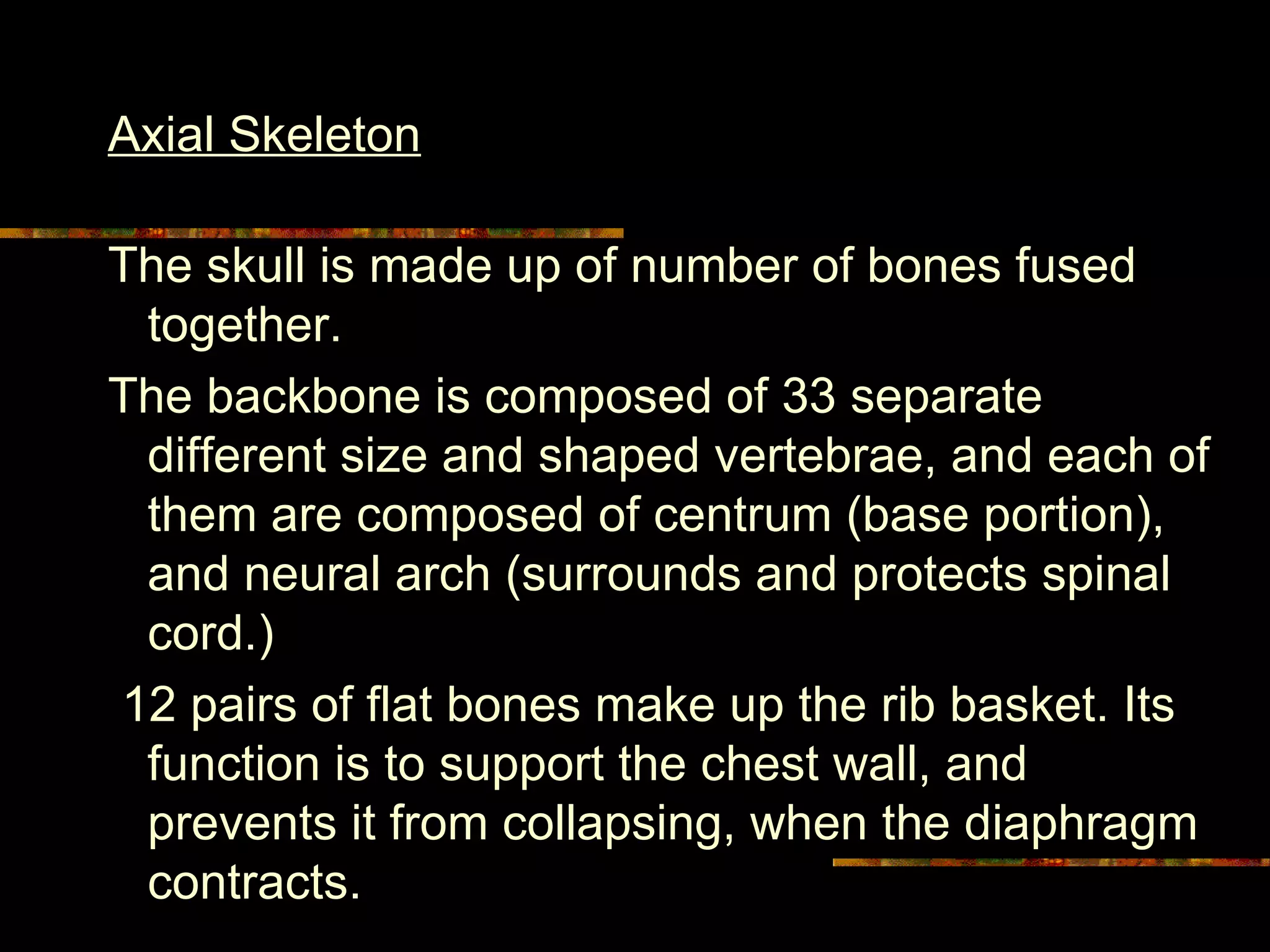 Skeletal system | PPT