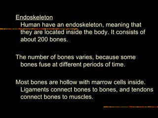 Skeletal system | PPT