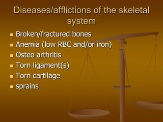 Skeletal system | PPTX | Bone and Joint Conditions | Diseases and ...