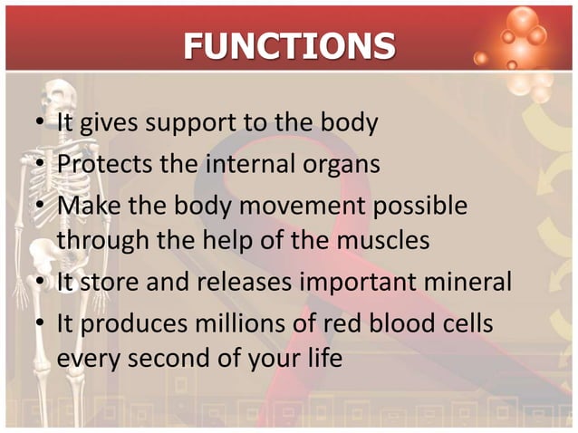Skeletal system | PPTX