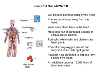Body Systems | PPT