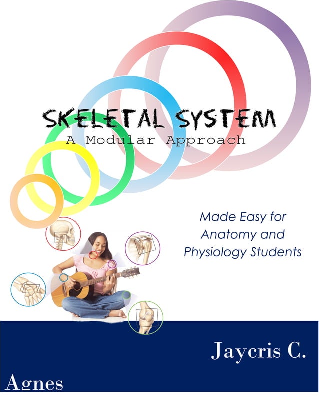Skeletal System Hand Out | DOC | Bone and Joint Conditions | Diseases ...