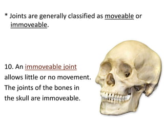 Skeletal system | PPT