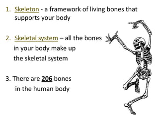 Skeletal system | PPT