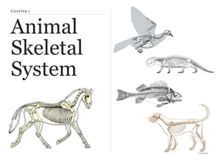 Skeletal system | PDF