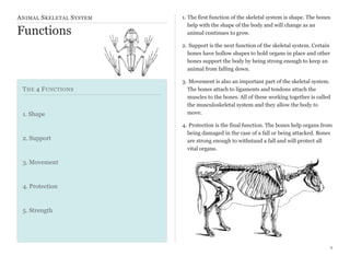 Skeletal system | PDF | Death, Injury, or Military Conflict | Sensitive ...