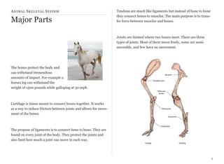 Skeletal system | PDF