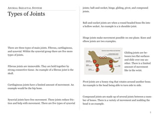 Skeletal system | PDF