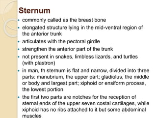 Skeletal system | PPTX