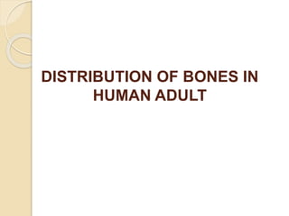 Skeletal system | PPTX