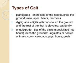 Skeletal system | PPT