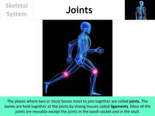 Skeletal System | PPT