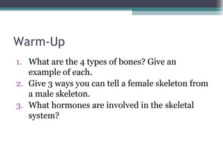 Anatomy & Physiology Lecture Notes - Skeletal system | PPT
