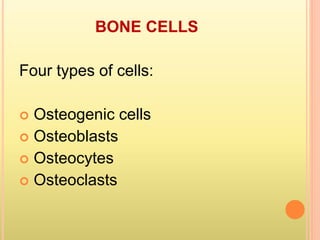 Skeletal system | PPTX
