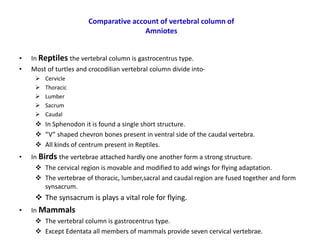 Skeletal system | PPTX