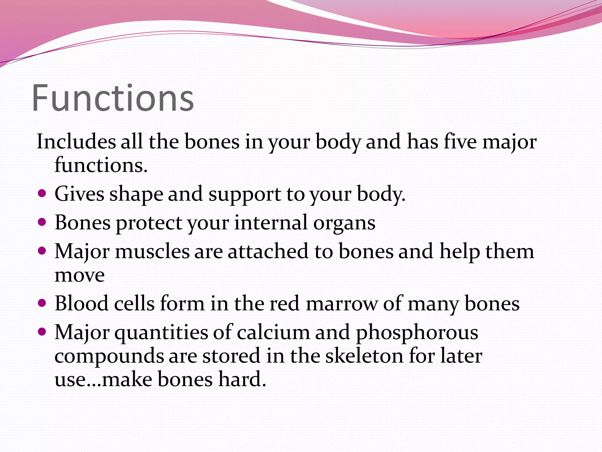 Skeletal system | PPTX