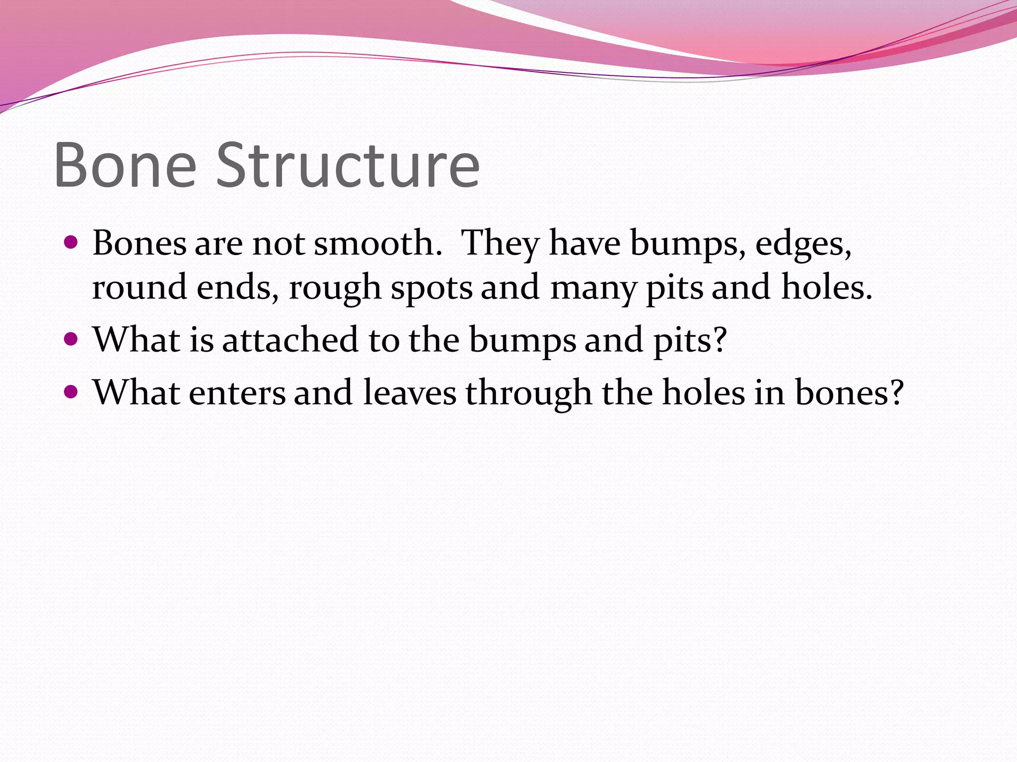 Skeletal system | PPTX