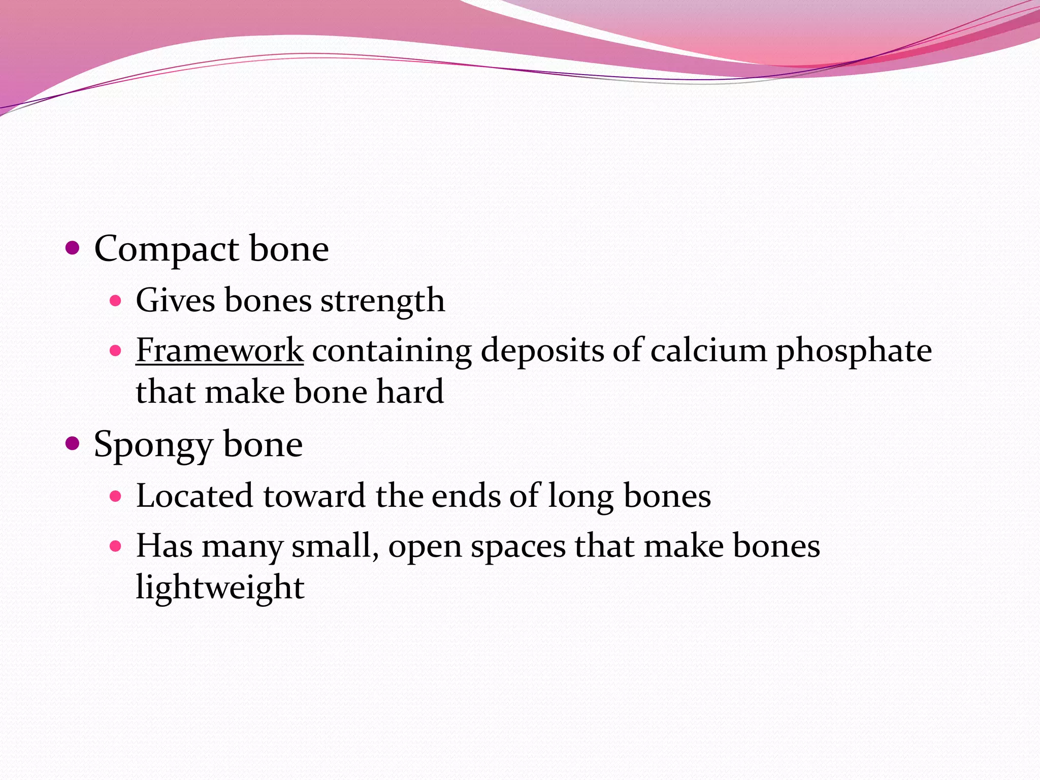 Skeletal system | PPT