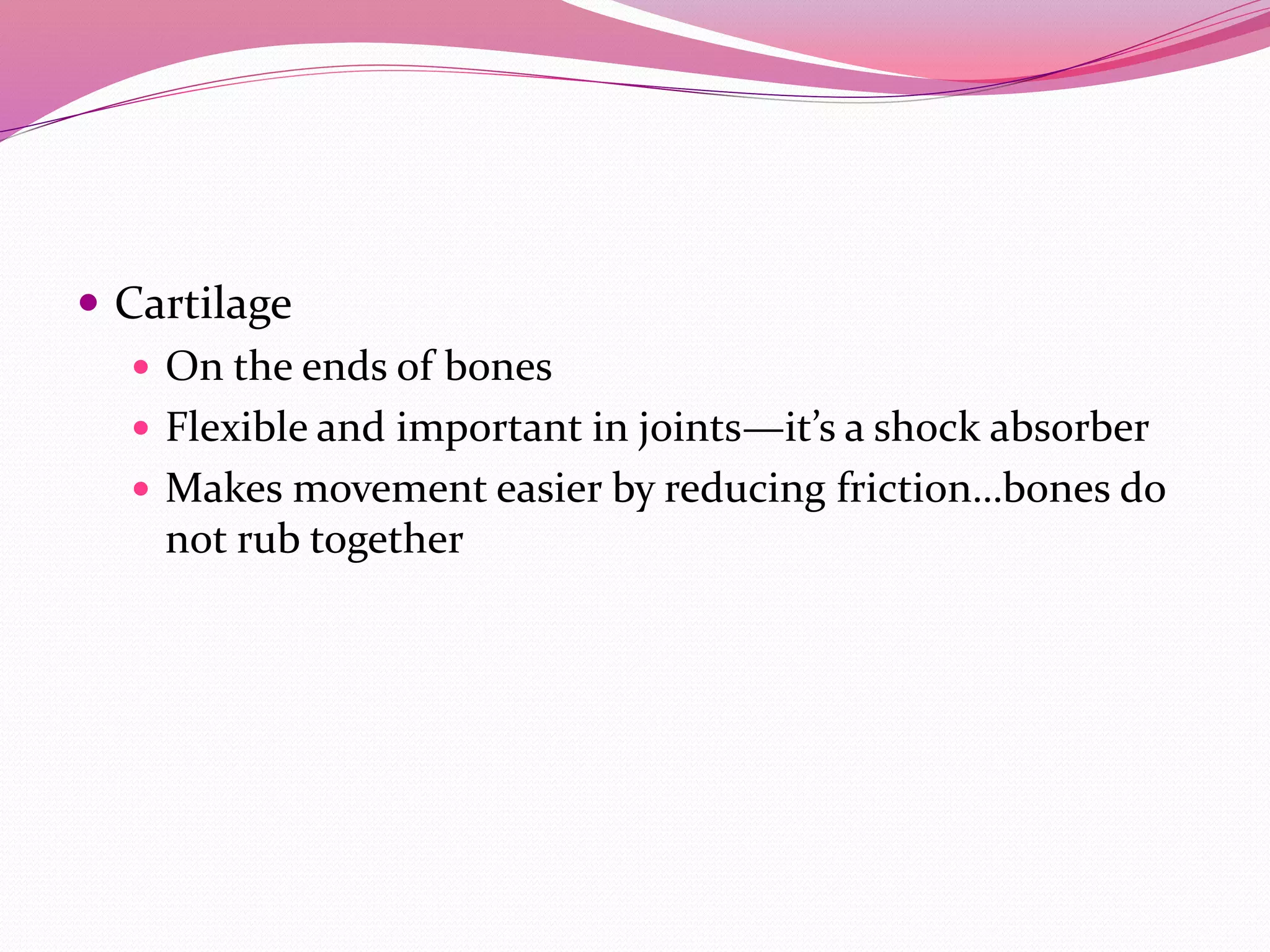 Skeletal system | PPT